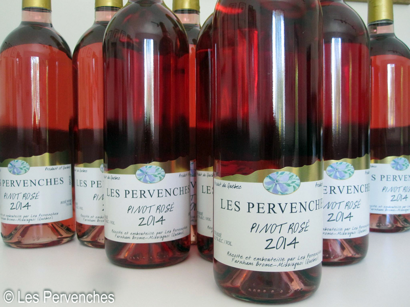 pervenches-pinot-rose - vino2travel
